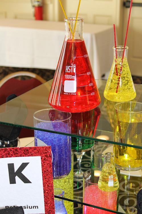 Science Bar Mitzvah - Let's Celebrate Events